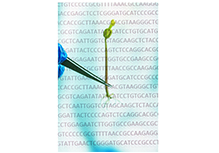 Microarray Sequencing Chip Analysis | Capitalbio
