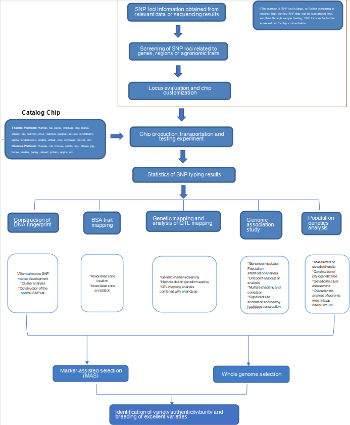 Agricultural SNP Microarray | Capitalbio